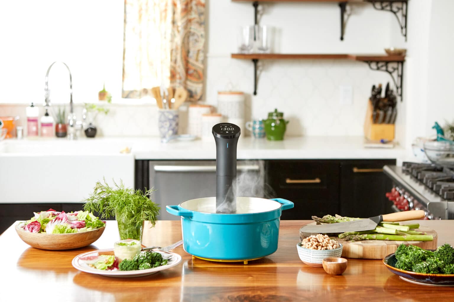 Anova Precision Cooker Nano | Análisis - Sous Vide